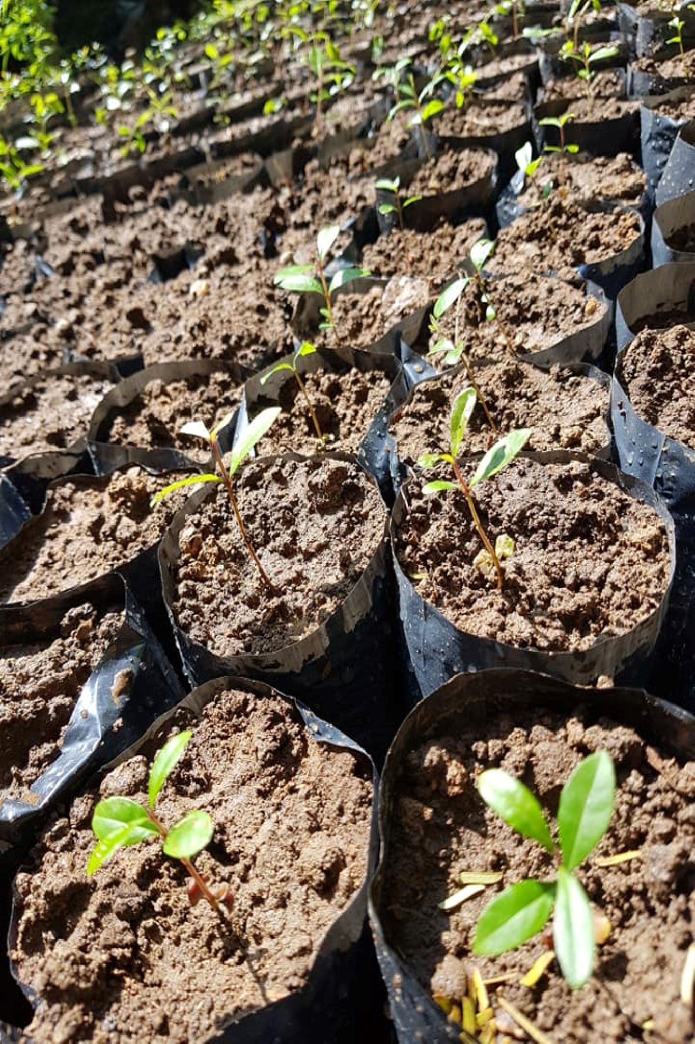 Gallery - FPD Asia Property Service, Inc.