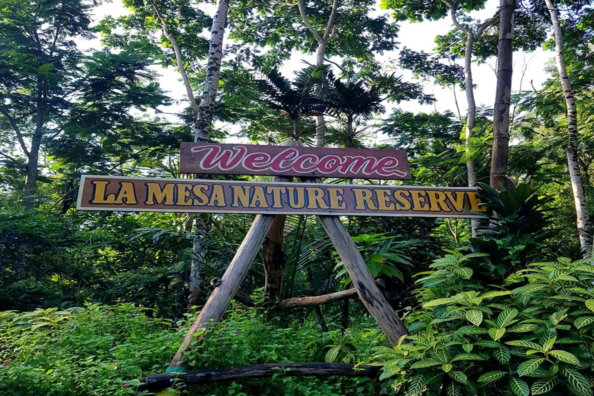 Gallery - FPD Asia Property Service, Inc.